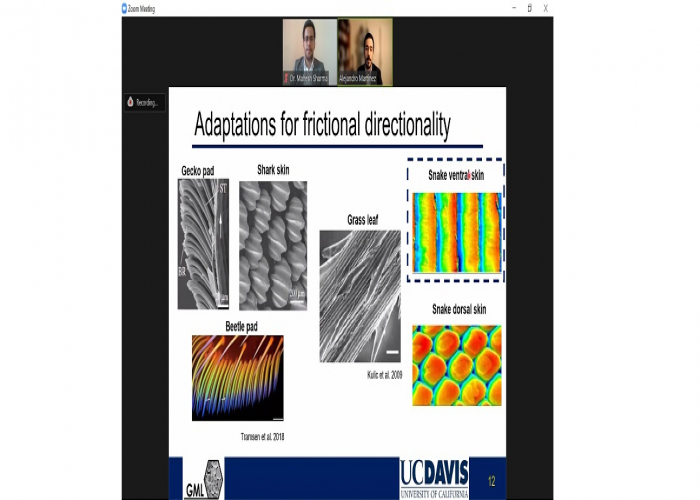 University Institute of Technology | Himachal Pradesh University Shimla ...